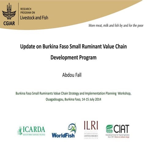 Update on Burkina Faso Small Ruminant Value Chain Development Program ...