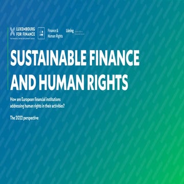 LFF_HUMAN-RIGHTS.pdf | Financial Regulation | Economy