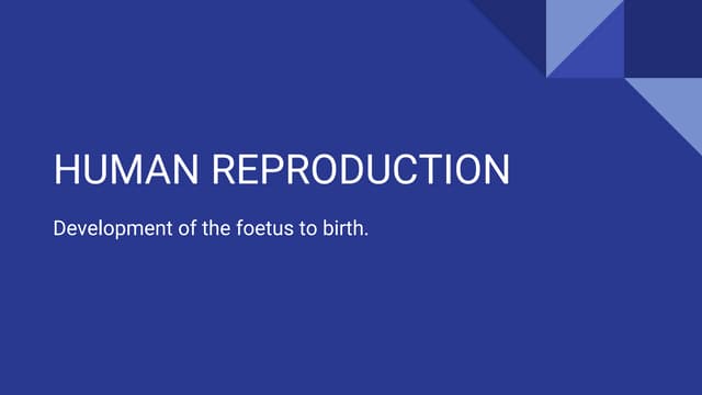 Human Reproduction Ppt Free Download