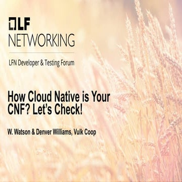 LFN Dev and Testing Forum 2022 CNF Certification Tutorial | PDF | Cloud ...