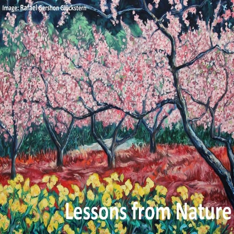 Lessons from Nature: insights from nature to inspire and build a ...