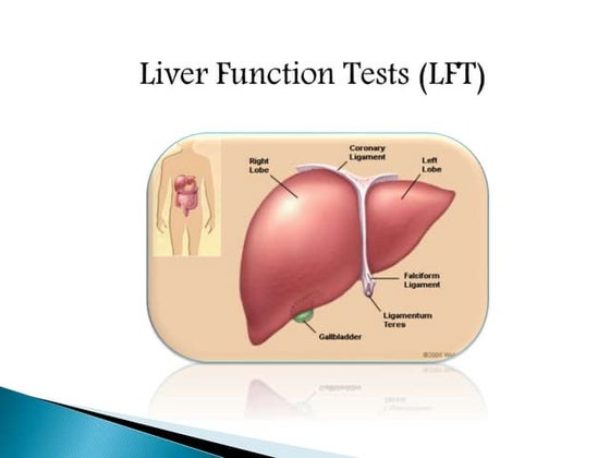 Liver function test (LFT) | PPT