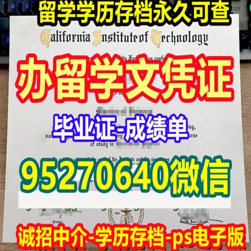 UofCCertificate,Transcript | PPT