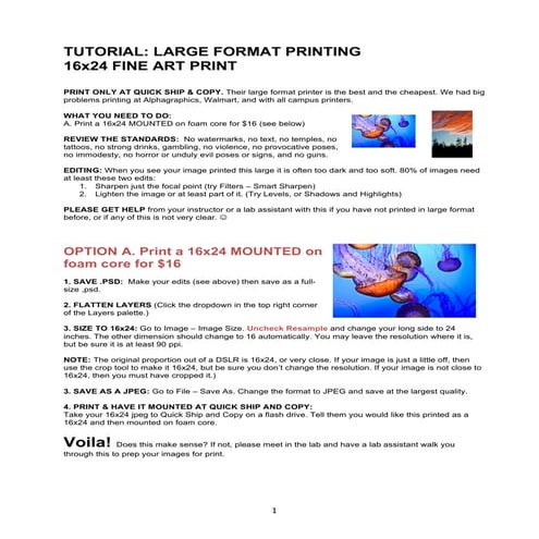 Large Format Printing | PDF