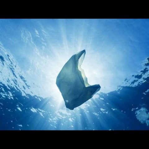 Next Plastics Moment - Tim Scoones | PPTX