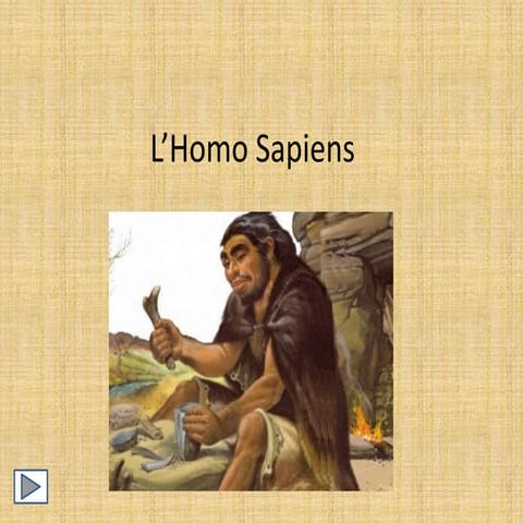 L’homo sapiens | PPT