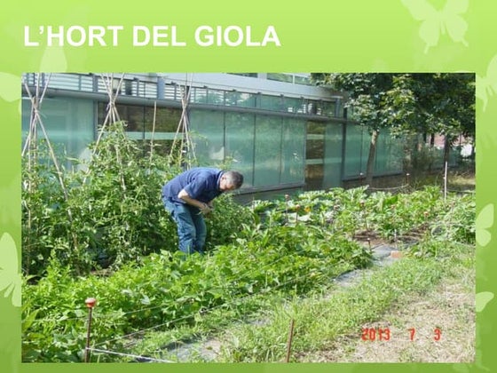 L'hort (1) | PPT | Agriculture | Industries