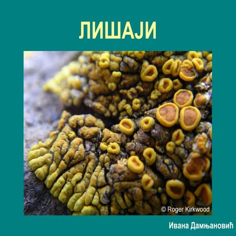 Gradja biljaka | PPTX