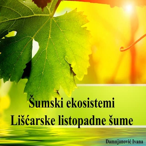 Listopadne šume | PPTX