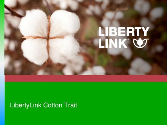 LibertyLink® Liberty® Canola | PPT