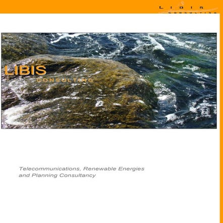 Libis Consulting | PDF