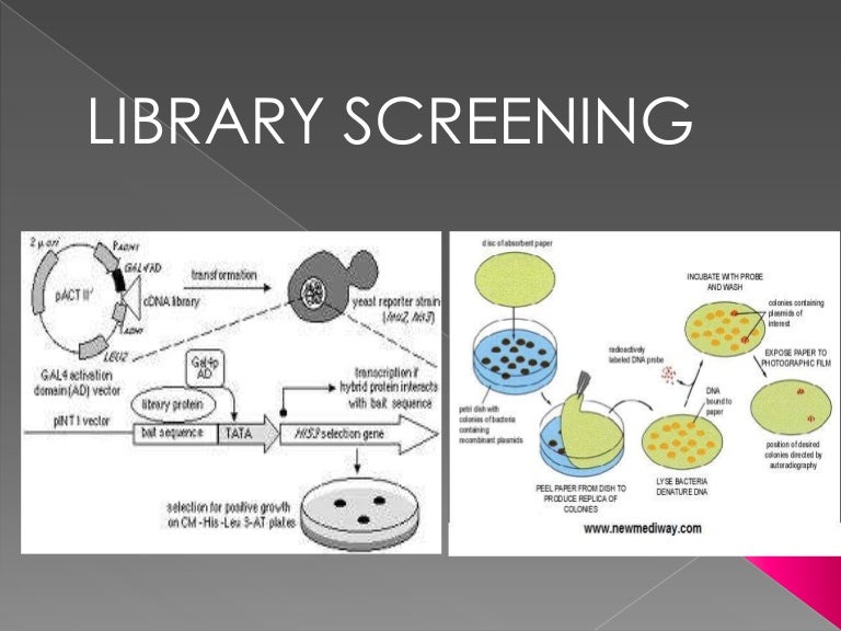 Library Screening