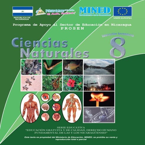 Libro De Texto De Ciencias De La Tierra En Línea 8vo Grado PDF)