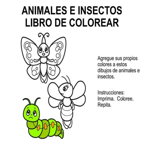 Libro para colorear animales y insectos.pptx