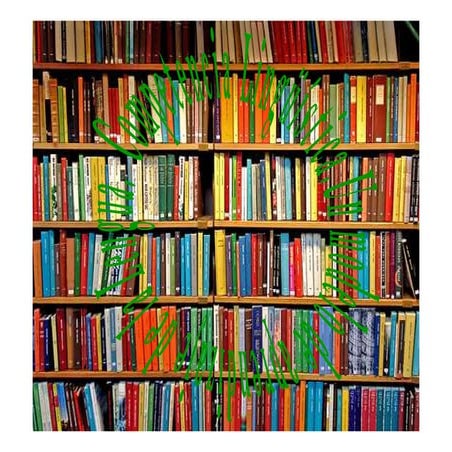 Libro verde pdf | PDF