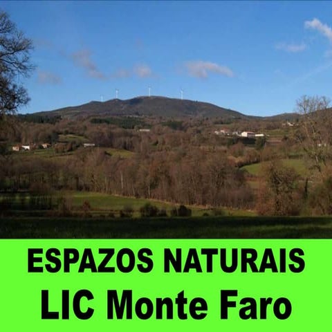 LIC-Monte Faro.ppt
