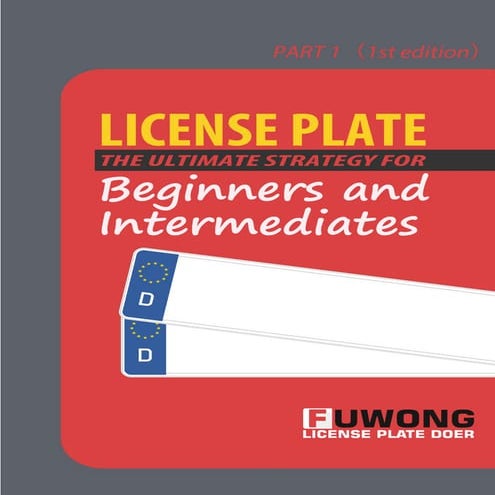 License plate: The Ultimate Strategy For Beginners And Intermediates | PDF