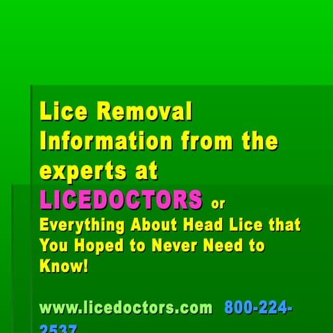 Head Lice.ppt