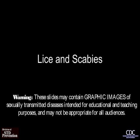 Lice & Scabies | PPT