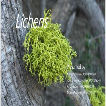 Lichen | PPT