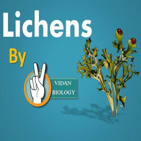 Lichens and its types | PDF