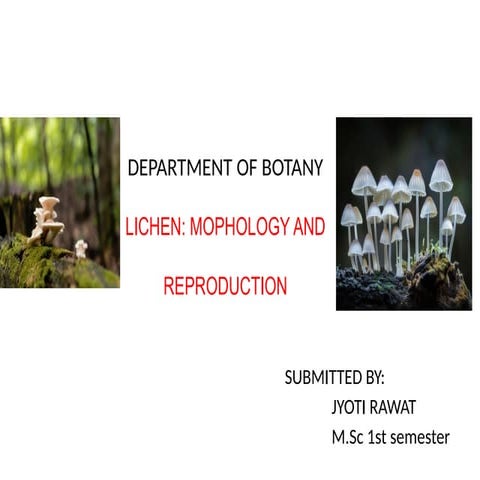 Structure and Classification of Lichen.pptx