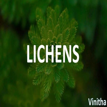 Lichens | PPTX