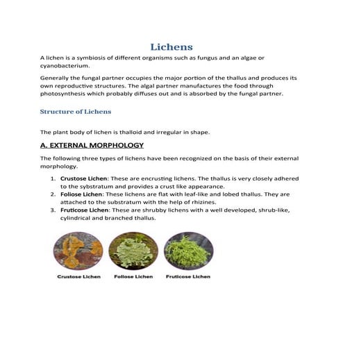 Lichens (External morphology, internal structure).docx