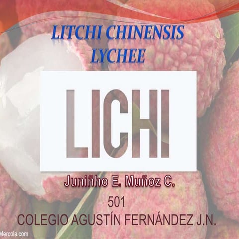 LICHI | PPTX