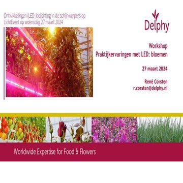 Lichtevent René Corsten Delphy 2024-03-27.pdf
