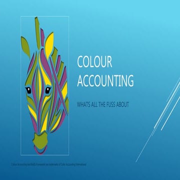 Colour Accounting | PPT