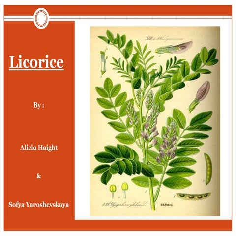 Licorice (1) | PPTX