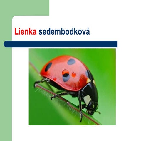Lienka.ppt