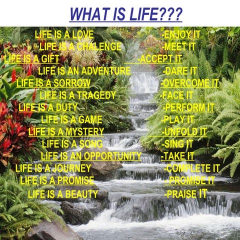what is life??? | PPT