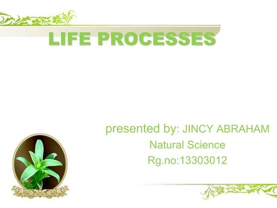 Life Processes Class 10th Ppt