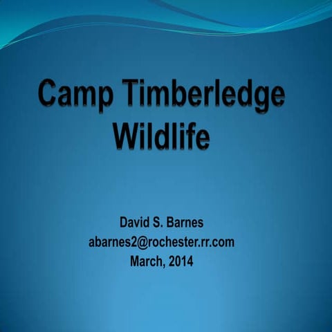 Life at-camp-timberledge-with-sounds-november-10-13-a (2) | PPSX ...