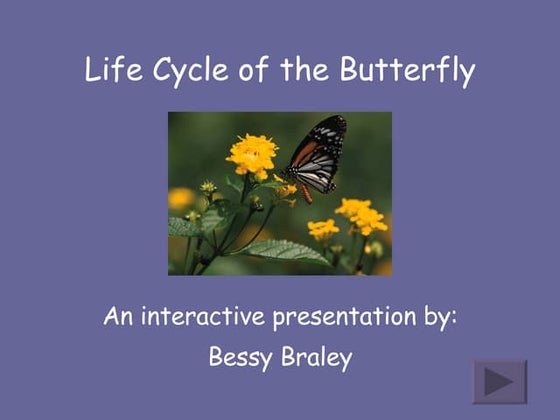 Life of a butterfly | PPT