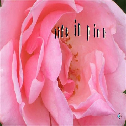 LIFE IN PINK | PPT