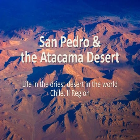 Life, fire and water in the Atacama. The driest desert in the world | PDF