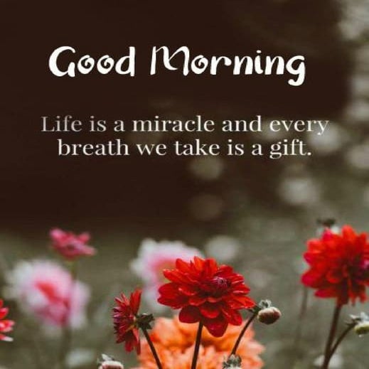 Life miracle-good-morning-quote-pic | PDF