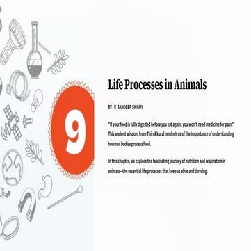 NCBTS (National Competency-Based Teacher Standards) | PPTX