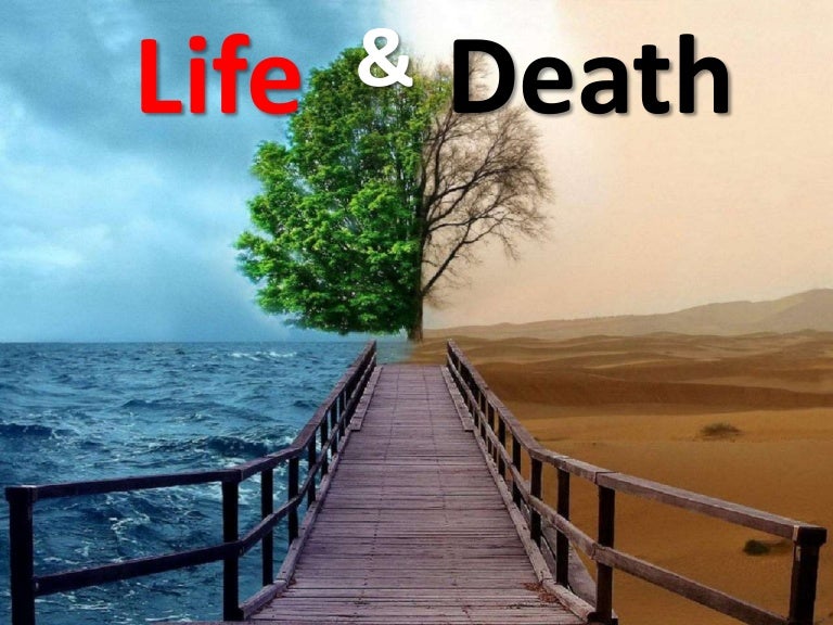 Life And Death life-and-death