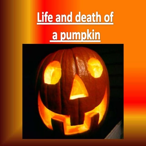 Life and death of a pumpkin | PPT