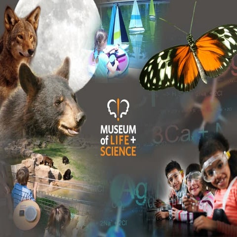 Museum of Life and Science Membership Model | PPS