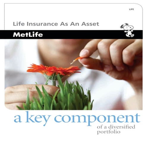 Life As An Asset Client | PDF | Life Insurance | Insurance