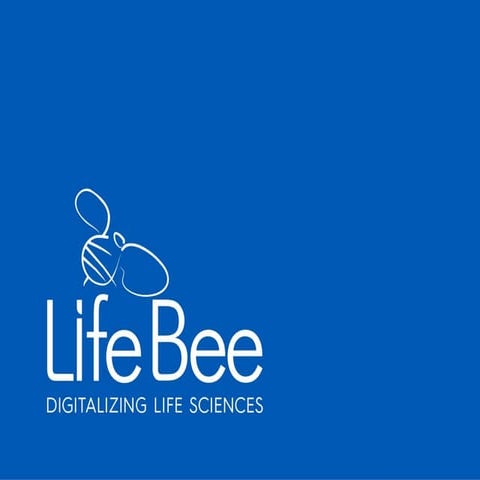 LifeBee About Us and What We Do | PPT