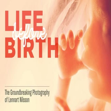 Lennart Nilsson: Life Before Birth | PDF