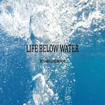 Life below water | PPTX