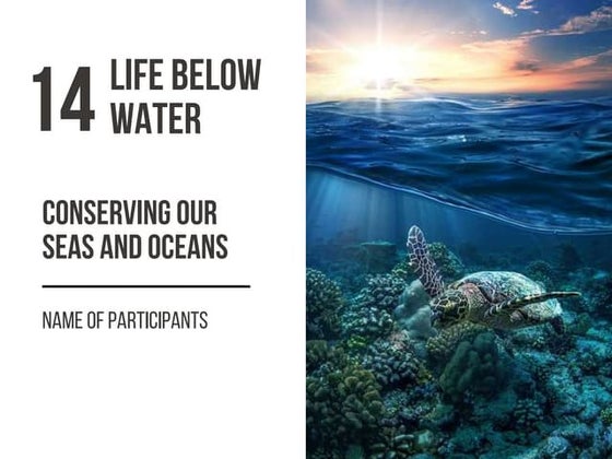 Life below water - presentation | PDF