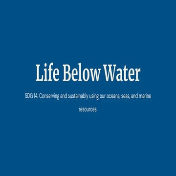 Life Below Water.pptx